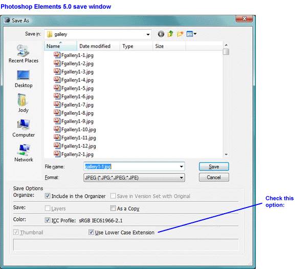Photoshop Elements Save Window